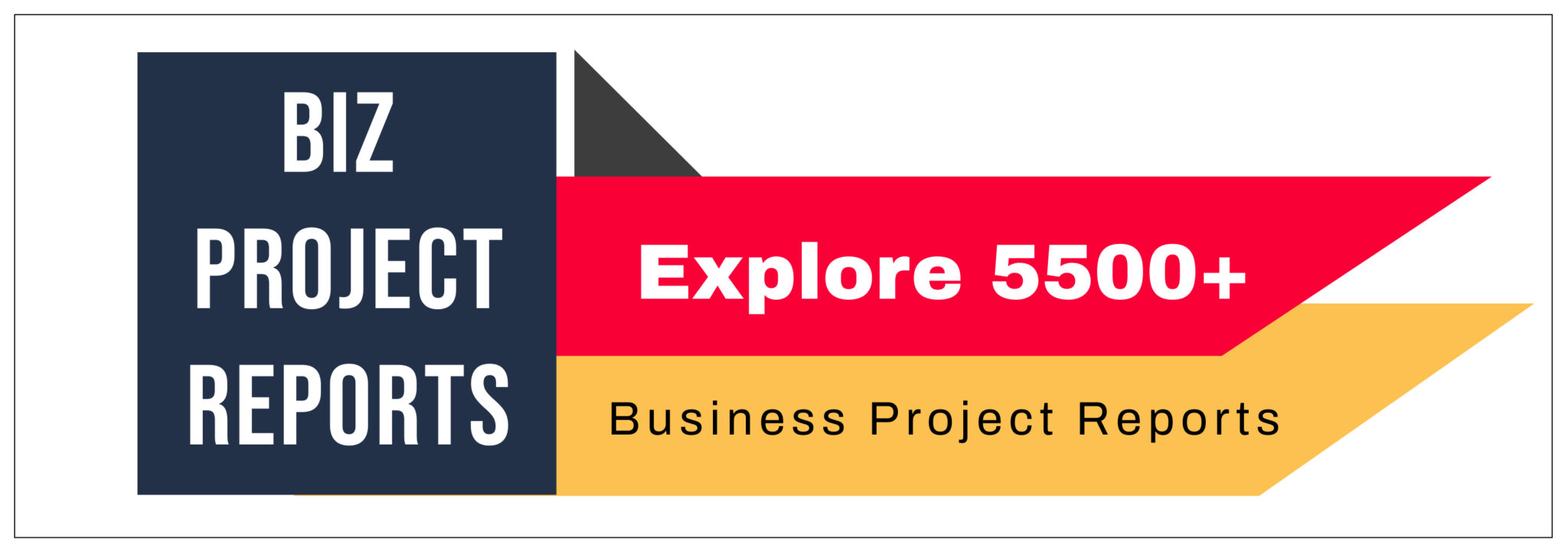 Biz Project Reports – 5500+ Business Project Reports Overview